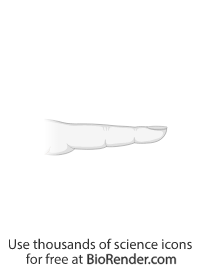 Free Finger Icons, Symbols & Images | BioRender