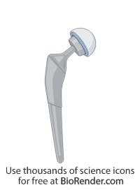 Free Hip implant Icons, Symbols & Images | BioRender