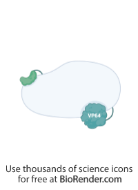 Free dCas9-VP64, fusion protein Icons, Symbols & Images | BioRender