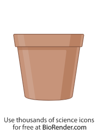 Free Plant pot Icons, Symbols & Images | BioRender