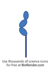 Free IL-6R Icons, Symbols & Images | BioRender