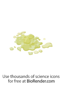 Free Sputum Icons, Symbols & Images | BioRender