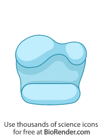 Free DNA polymerase Icons, Symbols & Images | BioRender