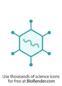 Free Viruses Icons, Symbols & Images | BioRender