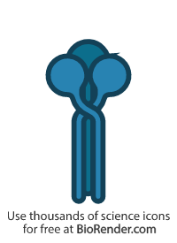 Free VSV (glycoprotein) Icons, Symbols & Images | BioRender