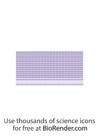 Free Gram positive cell wall Icons, Symbols & Images | BioRender