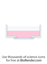 Free Glass bottom dish (lateral, small) Icons, Symbols & Images | BioRender