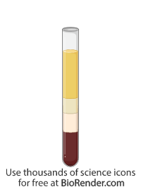 Free CPT tube (blood after centrifugation) Icons, Symbols & Images ...