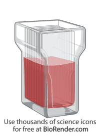 Free Coplin staining jar (with slides and colored solutions) Icons ...