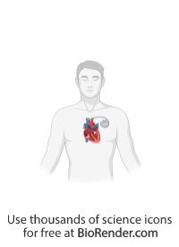 Free Heart (pacemaker, male) Icons, Symbols & Images | BioRender