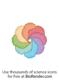 Free TRiC chaperonin (8-mer) Icons, Symbols & Images | BioRender