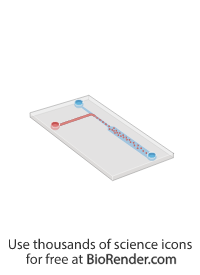 Free T-junction micrifluidic device Icons, Symbols & Images | BioRender