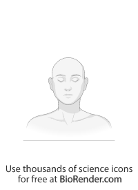 Free Human Figure Icons, Symbols & Images | BioRender