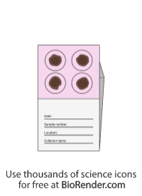 Free FTA card (with sample) Icons, Symbols & Images | BioRender