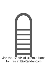 Free SpCas9 sgRNA stem loop (medium) Icons, Symbols & Images | BioRender