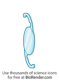 Free Eye (lens) Icons, Symbols & Images | BioRender
