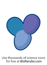 Free Albumin (serum) Icons, Symbols & Images | BioRender