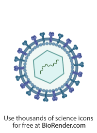 Free Generic virus 3 Icons, Symbols & Images | BioRender
