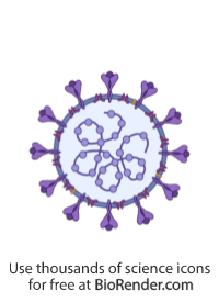 Free Coronavirus (MERS) Icons, Symbols & Images | BioRender