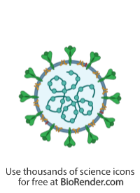 Free Coronavirus (SARS) Icons, Symbols & Images | BioRender