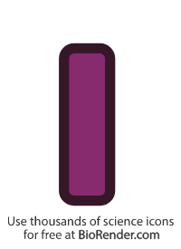 Free Coronavirus (E, envelope small membrane protein) Icons, Symbols ...