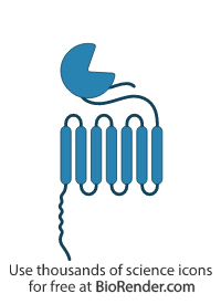 Free GABA-B2 Icons, Symbols & Images | BioRender