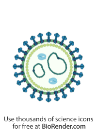 Free LASV Icons, Symbols & Images | BioRender