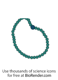 Free LASV (L RNA) Icons, Symbols & Images | BioRender