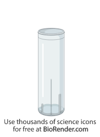 Free Bioreactor tube (empty) Icons, Symbols & Images | BioRender