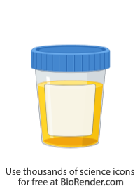 Free Urine sample (with label) Icons, Symbols & Images | BioRender