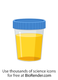 Free Urine sample Icons, Symbols & Images | BioRender