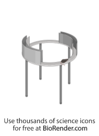 Free Elevated zero maze (with mouse) Icons, Symbols & Images | BioRender