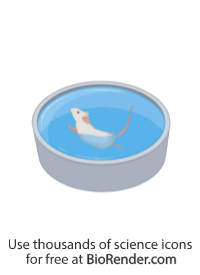 Free Mouse (forced swim test) Icons, Symbols & Images | BioRender
