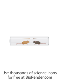 Free Mouse (tube dominance test) Icons, Symbols & Images | BioRender
