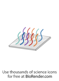 Free DNA microarray Icons, Symbols & Images | BioRender