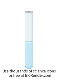 Free Test tube (15ml, 2/4) Icons, Symbols & Images | BioRender