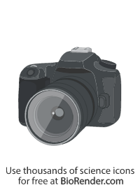 Free DSLR camera Icons, Symbols & Images | BioRender