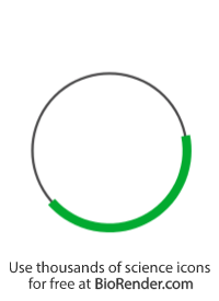 Free Plasmids Icons, Symbols & Images | BioRender