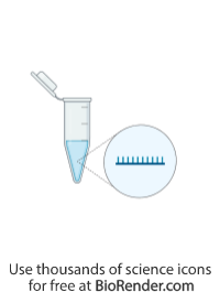 Free Eppendorf tube (open, with RNA) Icons, Symbols & Images | BioRender