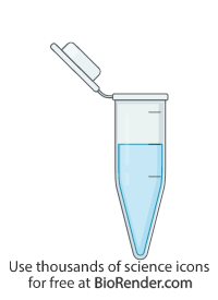 Free Eppendorf tube (2-3, open) Icons, Symbols & Images | BioRender