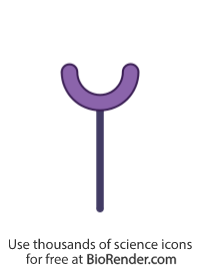 Free Generic receptor (circle, open) Icons, Symbols & Images | BioRender