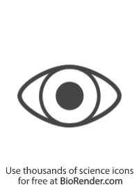 Free Eye icon Icons, Symbols & Images | BioRender