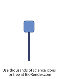 Free Generic receptor (square) Icons, Symbols & Images | BioRender