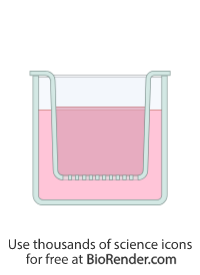 Free Transwell filter (side view, 1) Icons, Symbols & Images | BioRender