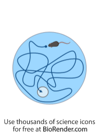 Free Morris water maze (top view 1) Icons, Symbols & Images | BioRender