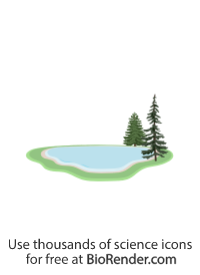 Free Lake (with trees) Icons, Symbols & Images | BioRender