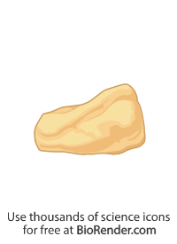 Free Resin Icons, Symbols & Images | BioRender