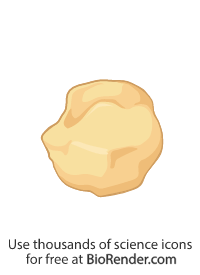 Free Resin Icons, Symbols & Images | BioRender