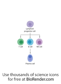 Free Immune & Blood Cells Icons, Symbols & Images | BioRender