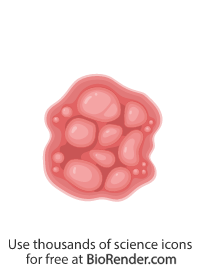 Free Cold Sore Icons, Symbols & Images | BioRender